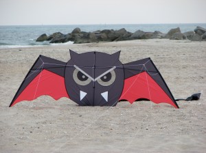 Have You Ever… – Freedom In The Sky – A Kiter's Blog