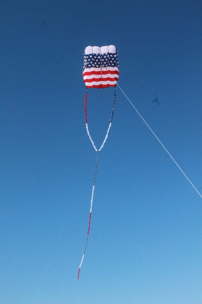 Kite Festival – Freedom In The Sky – A Kiter's Blog