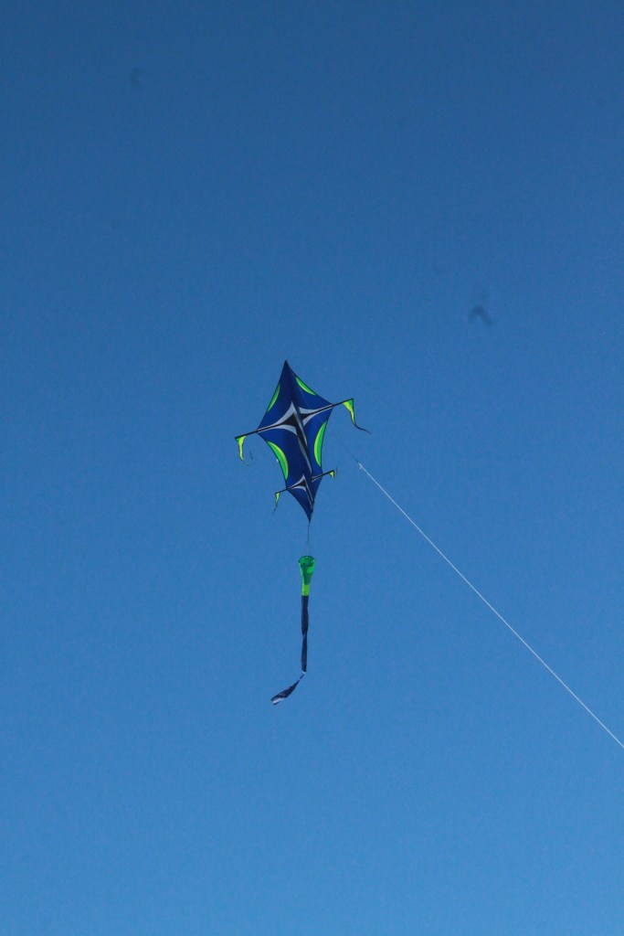 Kite Festival – Freedom In The Sky – A Kiter's Blog